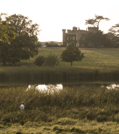 Wilding: "A rare and precious thing - a nature documentary with a sense ...